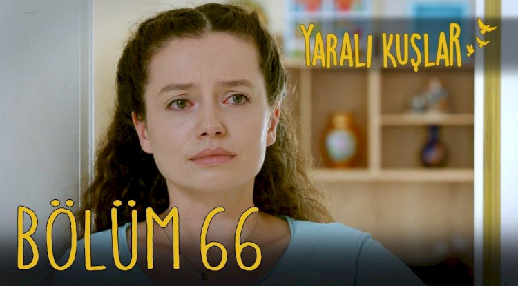 Yaralı Kuşlar | Ranjene ptice epizoda 66 - Najbolje Turske serije sa prevodom